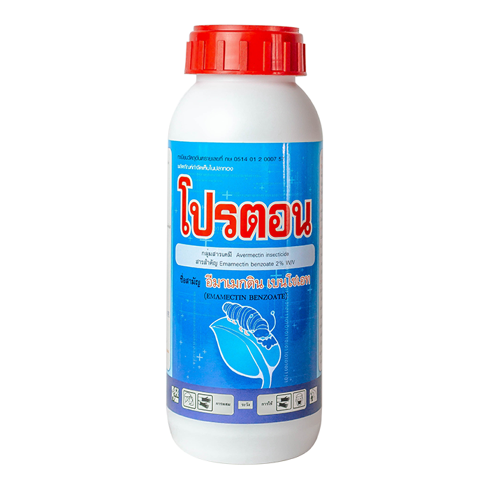Proton | WEBSITE | FORMULAR-A
